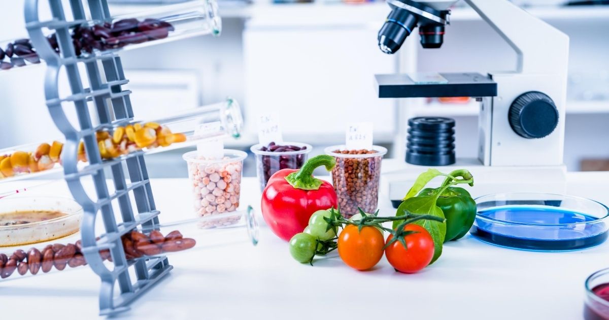 Curso Microbiología de los alimentos | DIDASCALIA EG