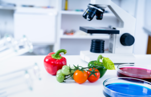 Curso Microbiología de los alimentos - Didascalia EG
